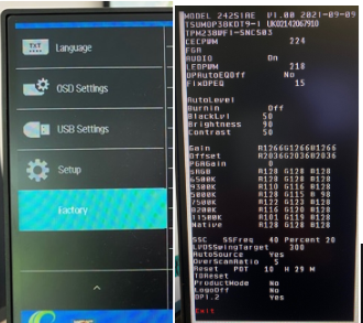 How to use the daisy chain function on my Philips monitor?